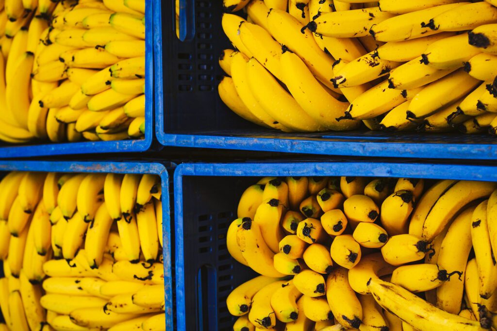 10 Interesting Facts about Honduras - Children's Hunger Fund